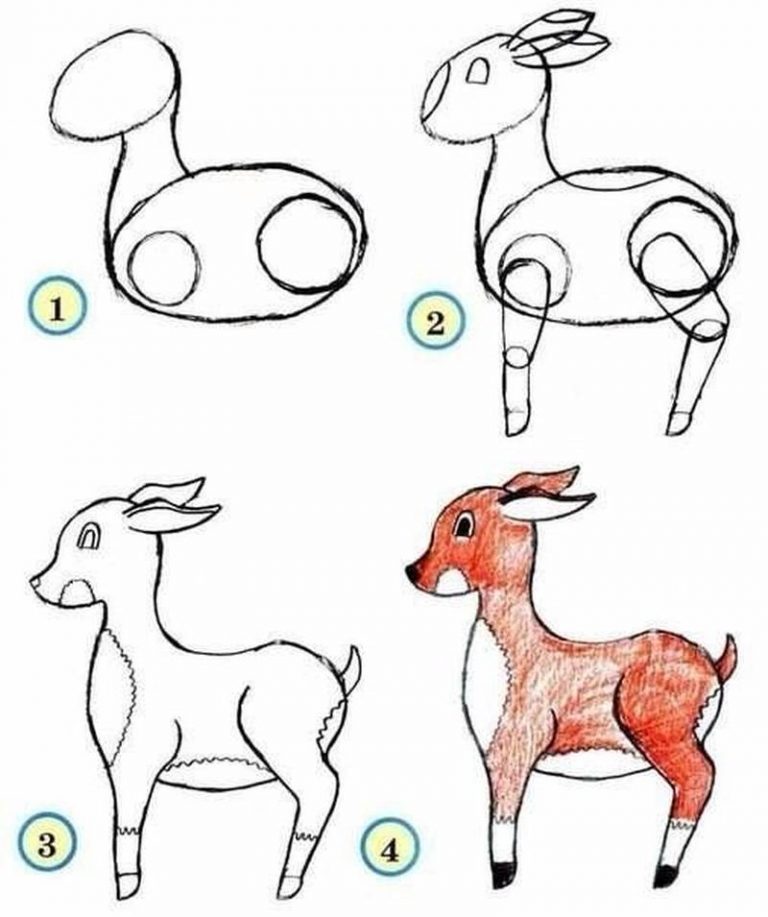 Dibujos de Animales Fáciles para hacer Paso a Paso 🙂